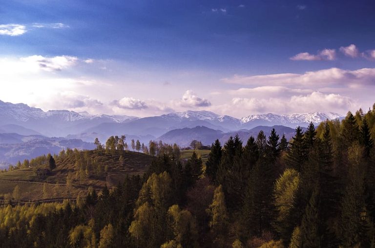 4 reasons why you should visit Romania - South Tours